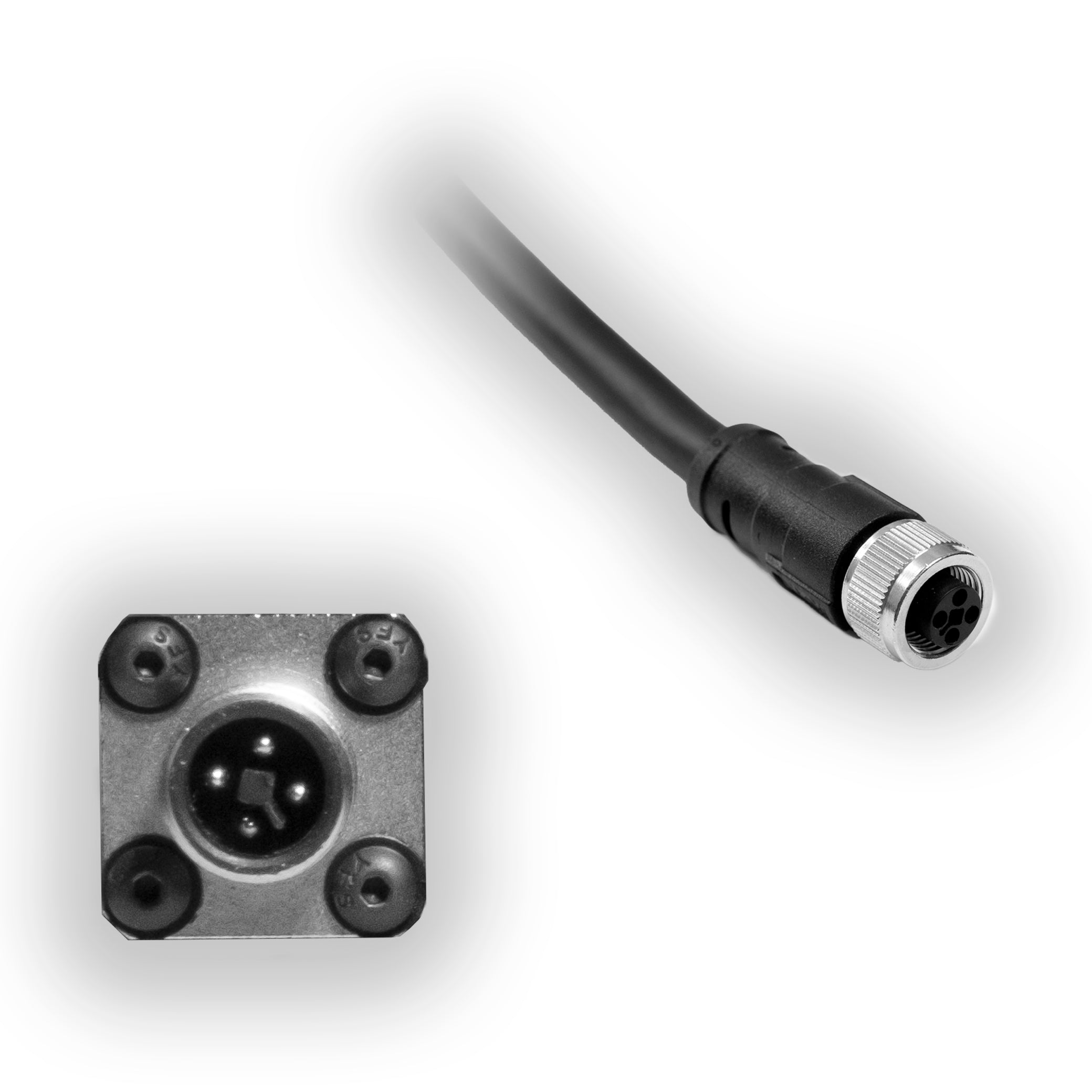 LC2-M12T-4-FX | 2 Meter Integrated Control Unit Cable